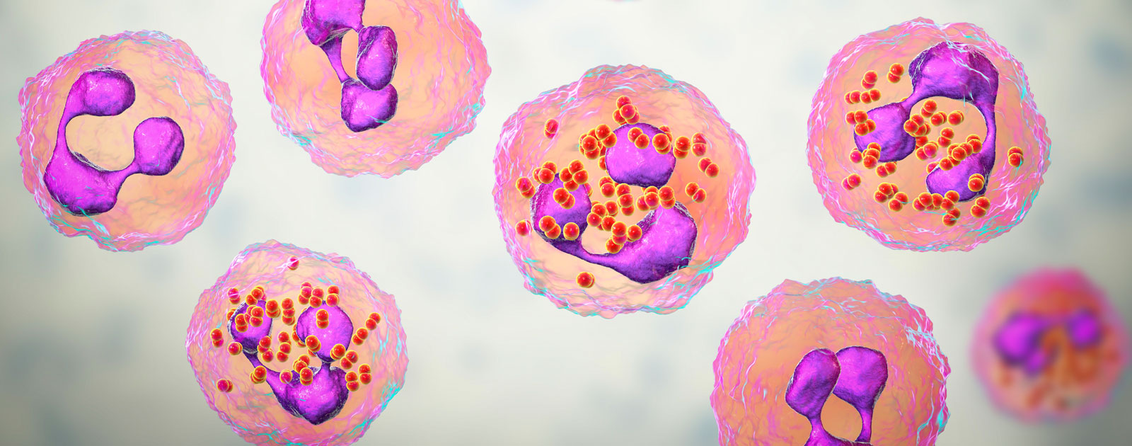 Meningite: tudo o que deve saber sobre este problema