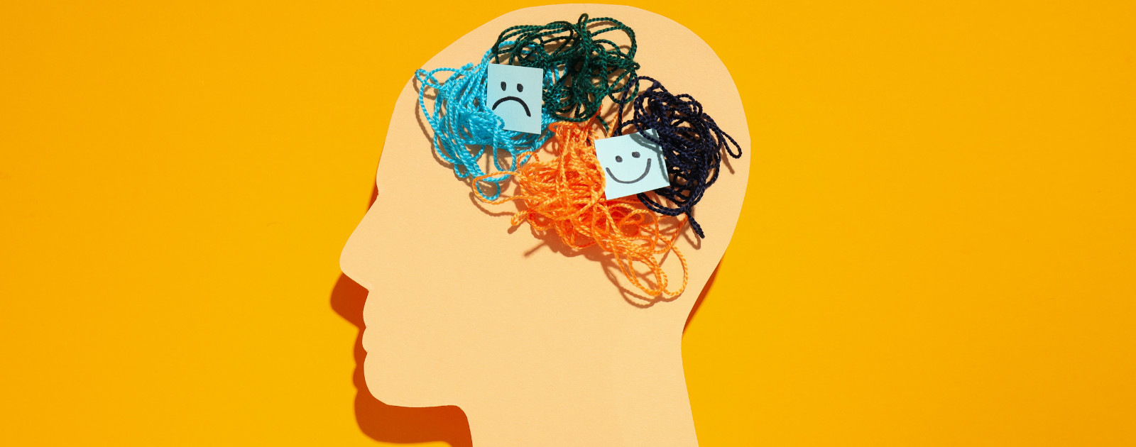 Transtornos de Humor: O que são e que tratamentos existem?