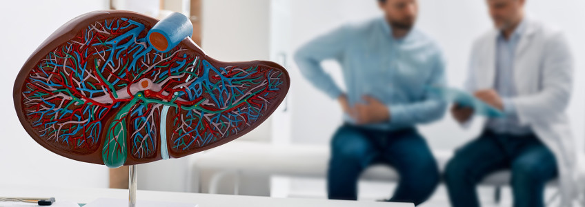 Cirrose hepática: o que a pode causar e como tratar